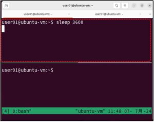【Linux】複数のセッション起動・複数のウィンドウの作成・1つのウィンドウを複数のペインに分割する：tmuxコマンド | Linux｜LPIC入門 PartⅢ | 演習で学ぶインフラLinux